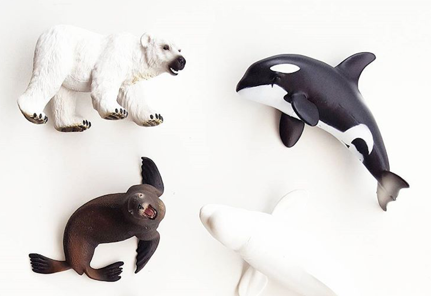 Small business spotlight: Oh Ivy – Woodruff and Co